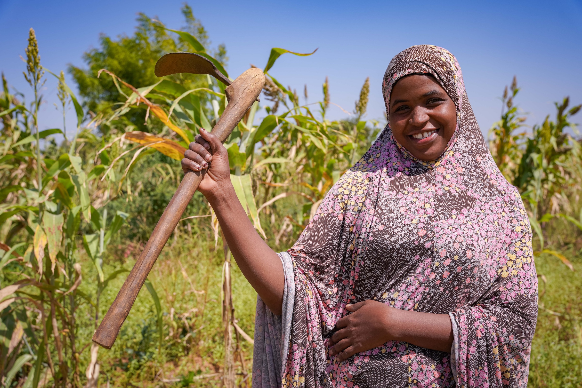 How Developing Countries Are Taking Climate Action Forward Undp